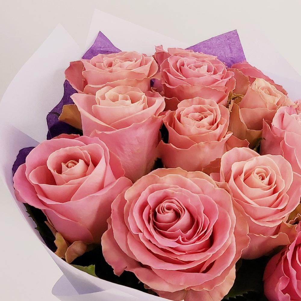 Роза Хермоза Фото – Telegraph