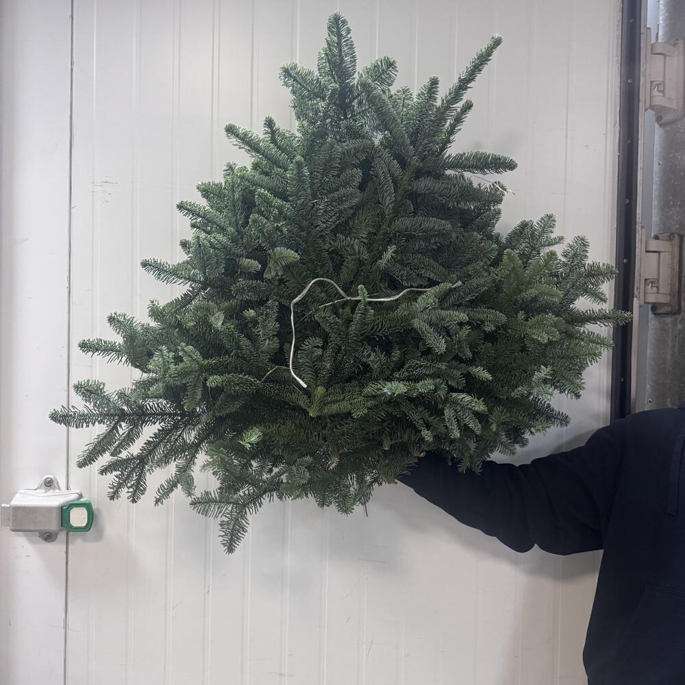 Банч из нобилиса, Цветы в Минске, купить по цене 180 BYN, Монобукеты в Бутик Букетик с доставкой ...