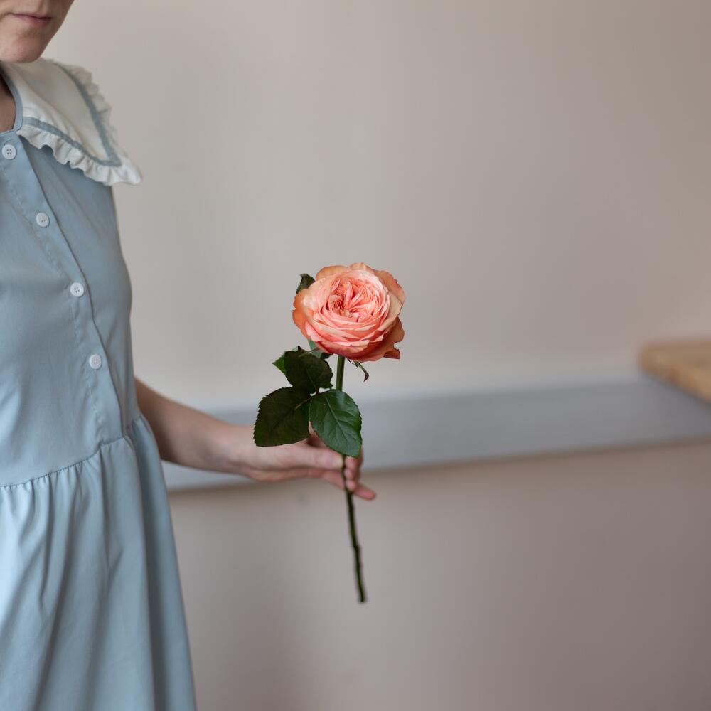 Пионовидная роза «Кахала», Flowers Moscow, Russia, buy at a price of ...