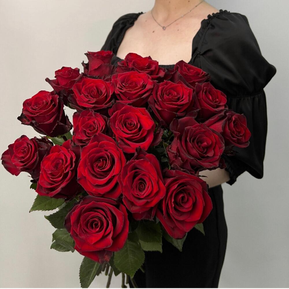 Роза Эксплорер, Flowers Moscow, Russia, buy at a price of 6700 RUB ...