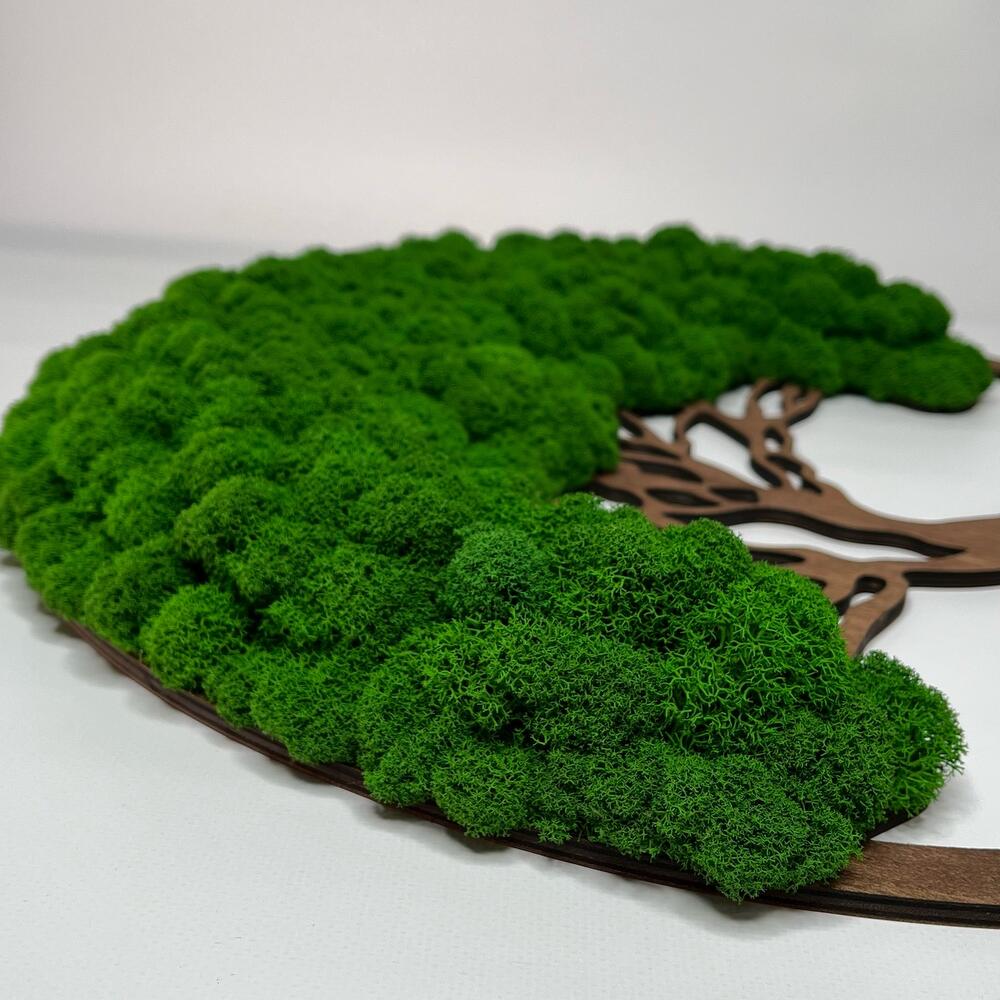 Интерьерное настенное панно подарок декор стабилизированный мох