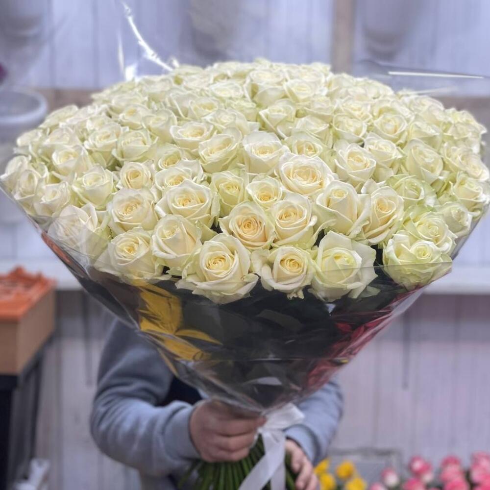 101 белая роза 🤍🌿, Flowers Moscow, Russia, buy at a price of 24150 RUB ...