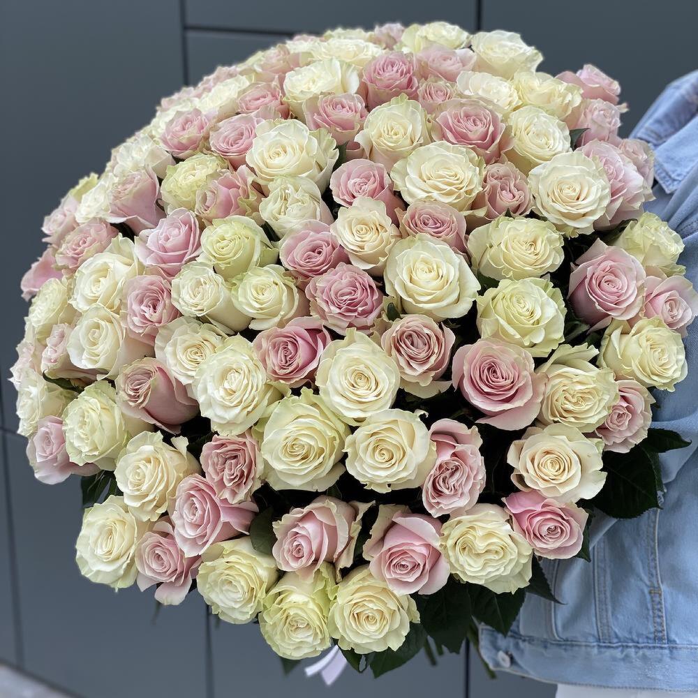 🌸Великолепная 101 Роза Мондиаль 🌸, Цветы и подарки в Москве, купить по ...