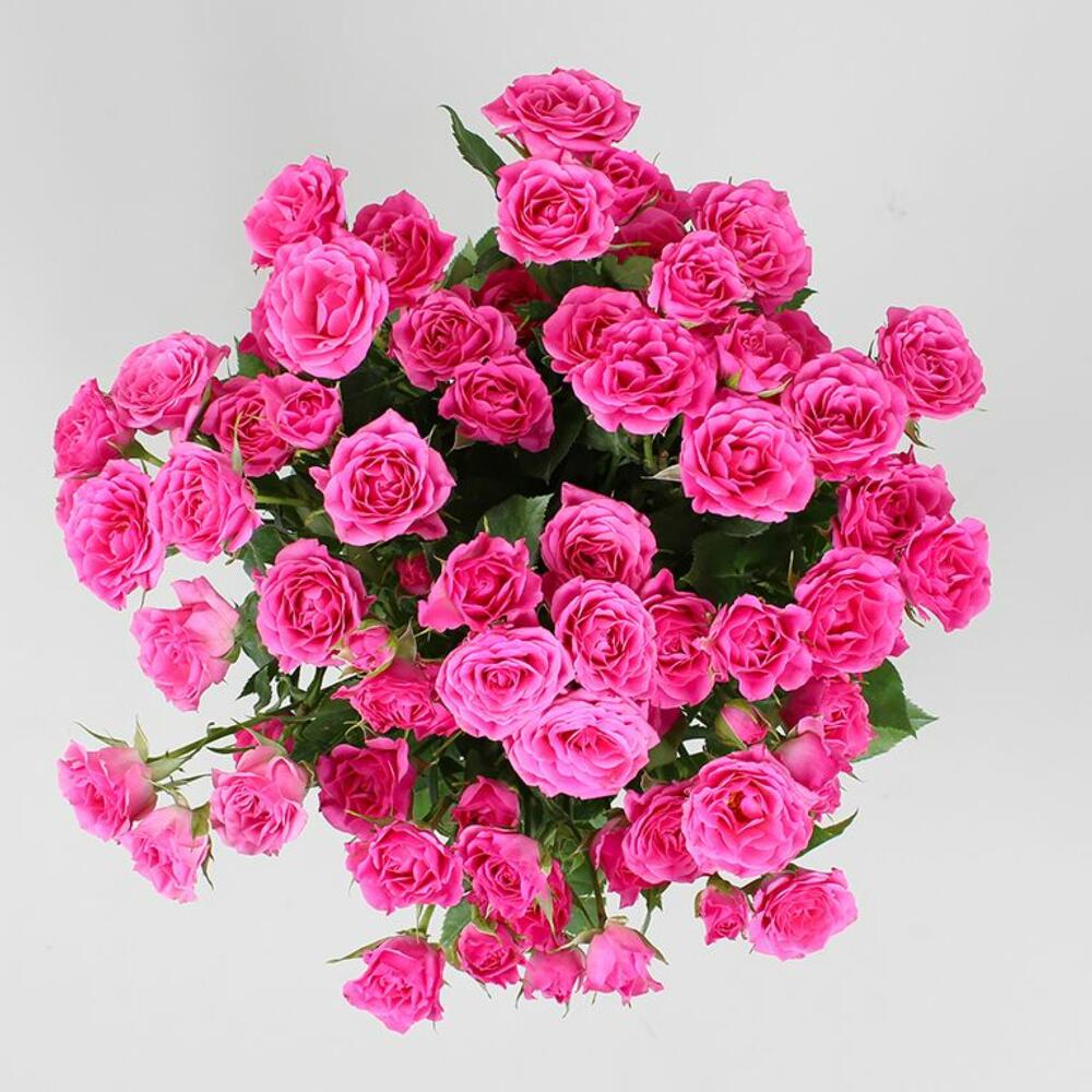 Букет 9 розовых кустовых роз 50 см, Flowers Moscow, Russia, buy at a ...