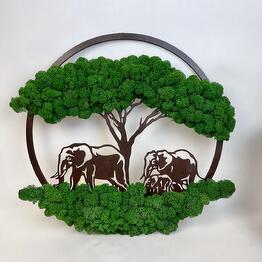 Фитокартина, купить в Москве по цене 2500 руб, недорого заказать ...