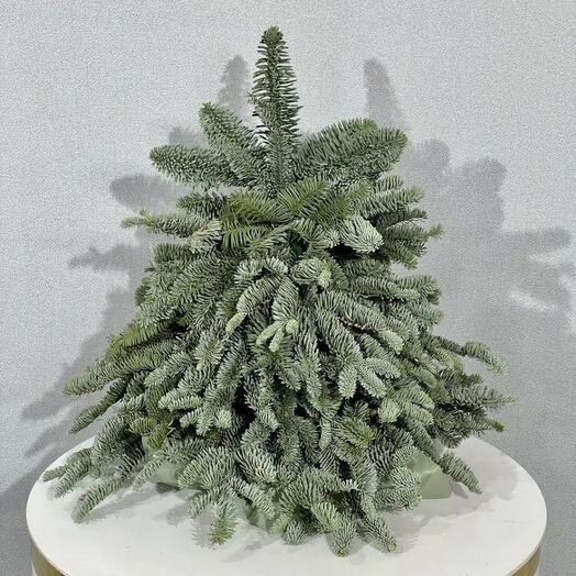 Christmas Special, New Year Dubai, United Arab Emirates, buy at a price ...