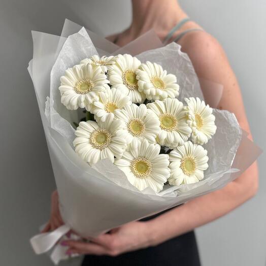 Белые Герберы, Цветы в Санкт-Петербурге, купить по цене 2900 руб ...