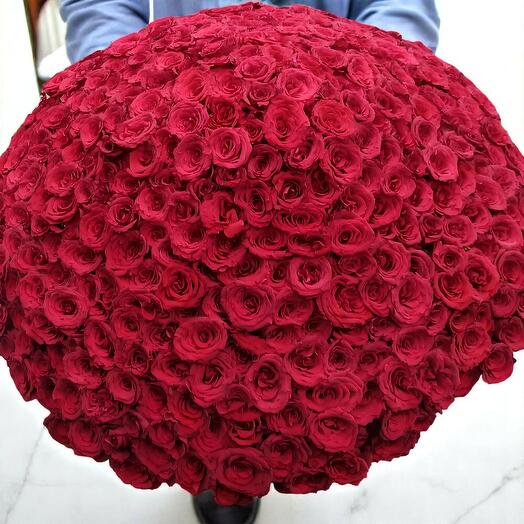 401pcs Red roses bouquet, Flowers Sharjah, Sharjah Emirate, United Arab ...